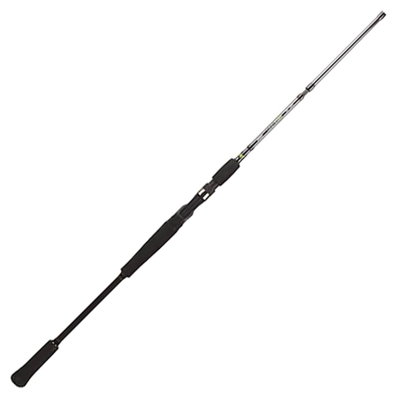 BFT Raptor G2 Spinn | Sportfishtackle.fr